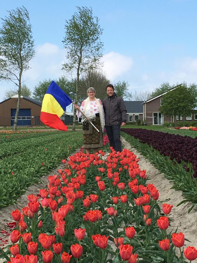 lalea – Curierul de Vâlcea